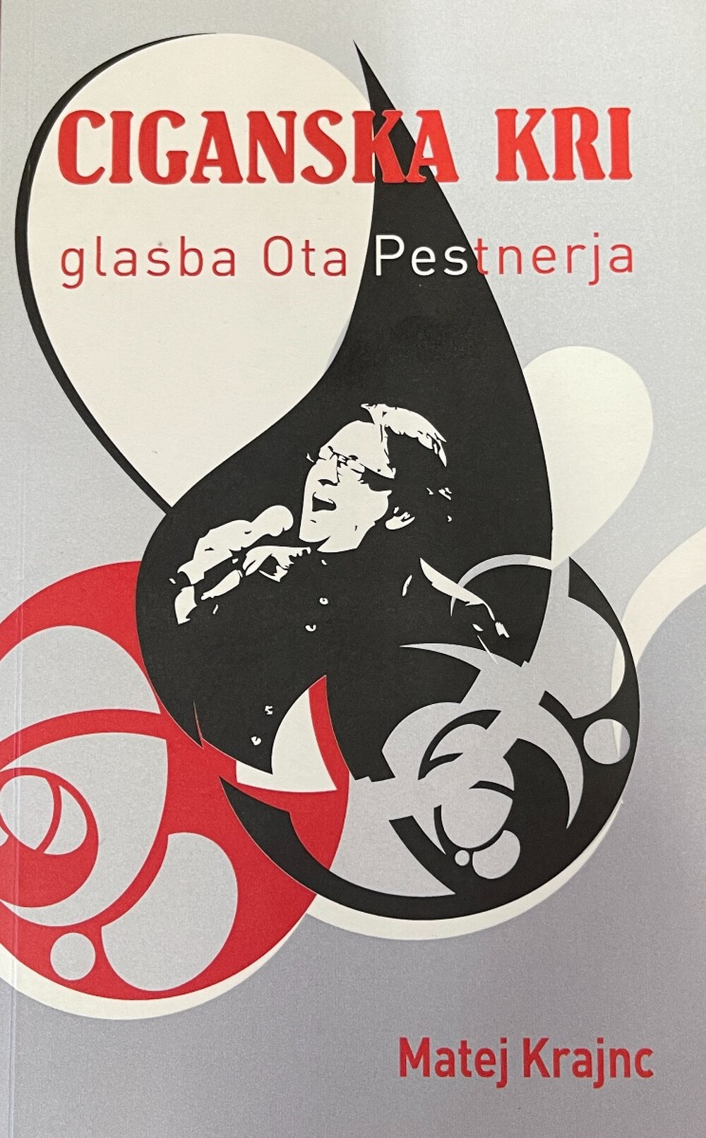 CIGANSKA KRI - GLASBA OTA PESTNERJA e-knjiga - Založba obzorja d.d.